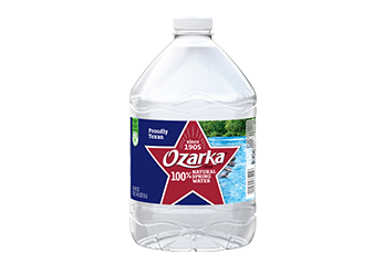 20 fl oz Bottled Water | Ozarka® Brand 100% Mountain Spring Water